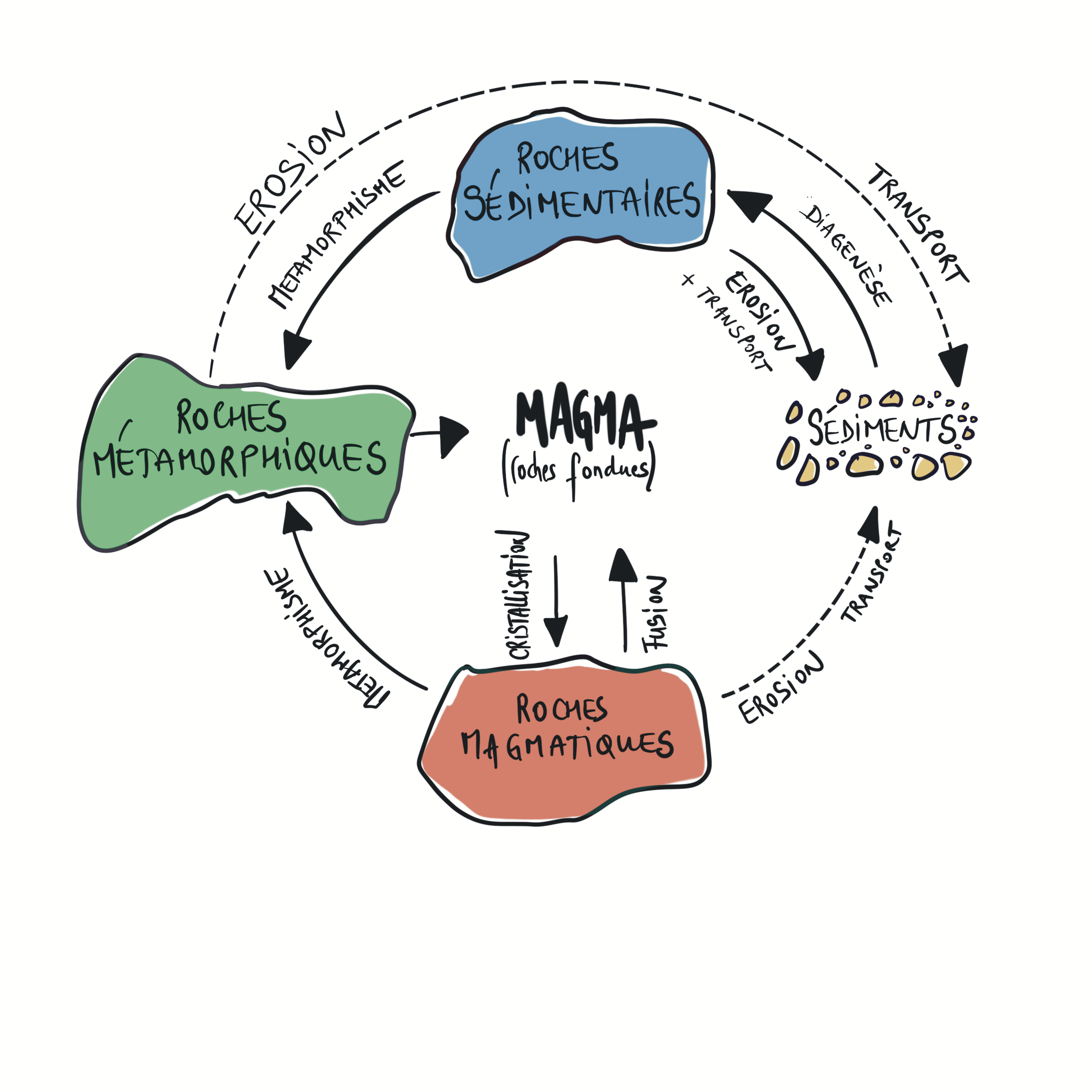 Schéma du cycle des roches